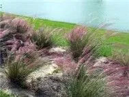 Nhạc tiếng Anh nhẹ nhàng chọn lọc - Lights, Cassandra Wilson, Gavin ...