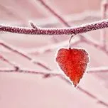 Nhạc không lời - Giai điệu của cảm xúc - Music Box, July, Crepe - mp3 ...