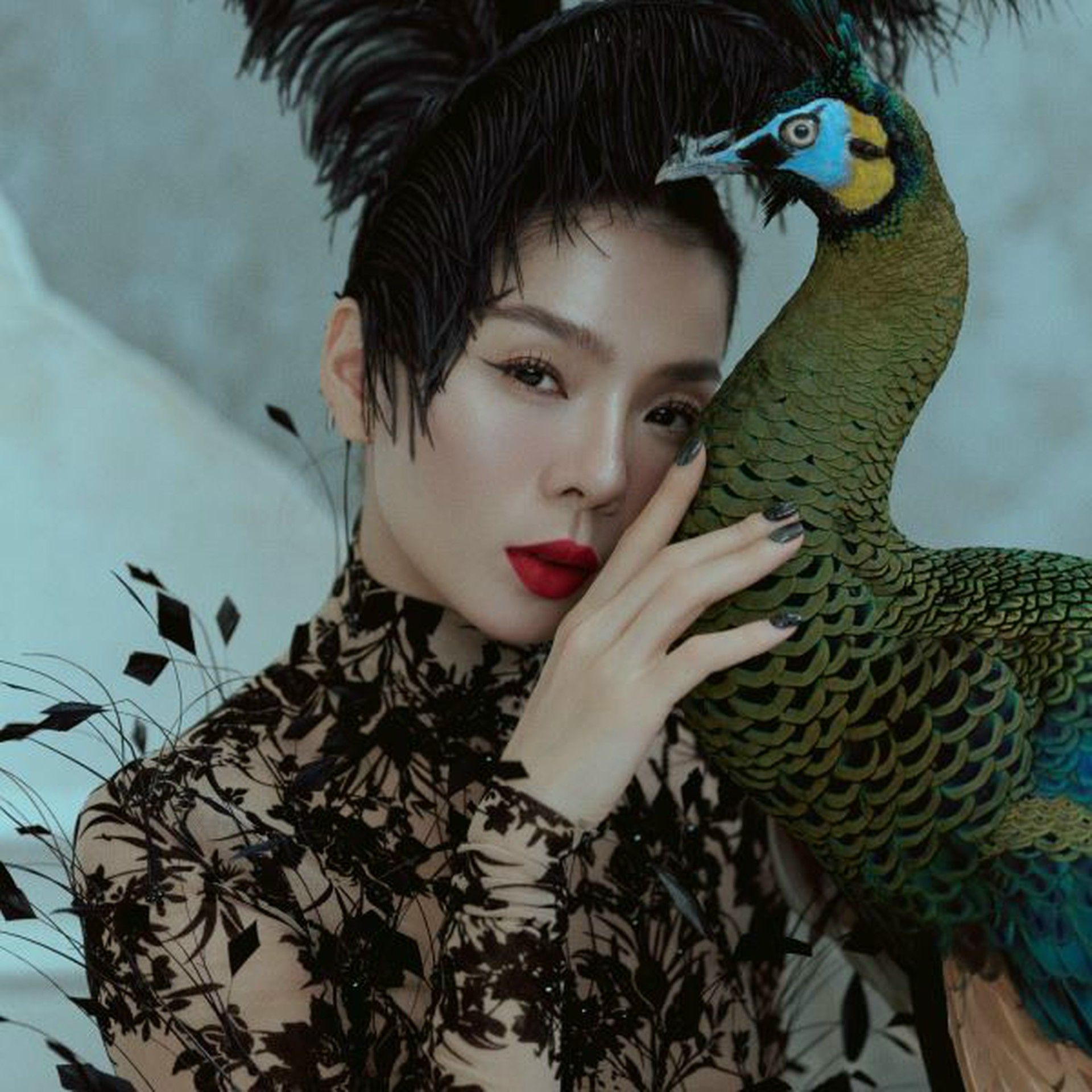 Lệ Quyên | NhacCuaTui