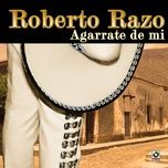 No Tiene Caso - Roberto Razo, Mariachi Mexico - mp3 download | lyric ...