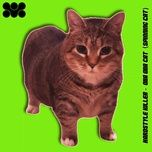 OIIA OIIA CAT (SPINNING CAT) - V.A - mp3 download | lyric - NhacCuaTui